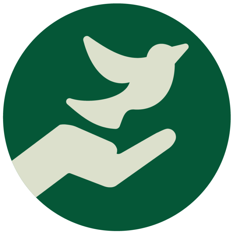 Information, support and advocacy services for survivors of ...